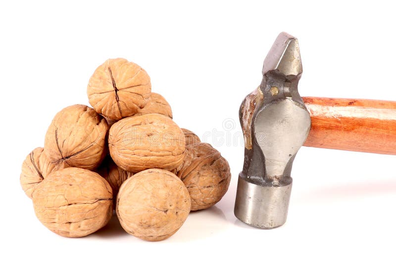 Wall-nuts stock image. Image of hard, healthy, crunchy - 134816517