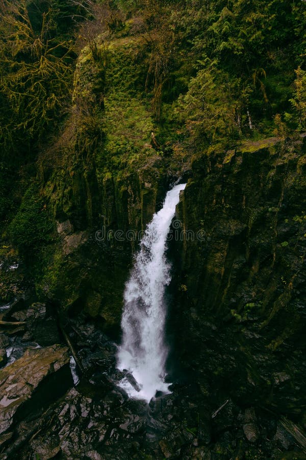 Beautiful Shot of a Waterfall in a Forest Surrounded by Greenery Stock ...