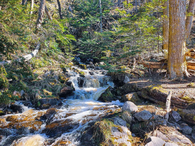 Beautiful Shot of a Waterfall in a Rocky Forest Landscape Stock Photo ...