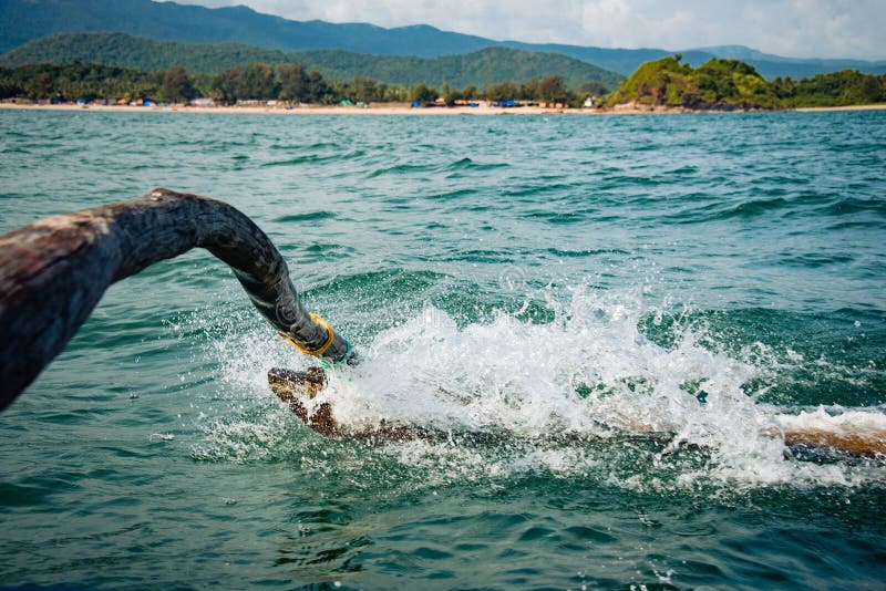 Beautiful Shot of the Waves Hitting a Crooked Tree Branch Stock Photo ...