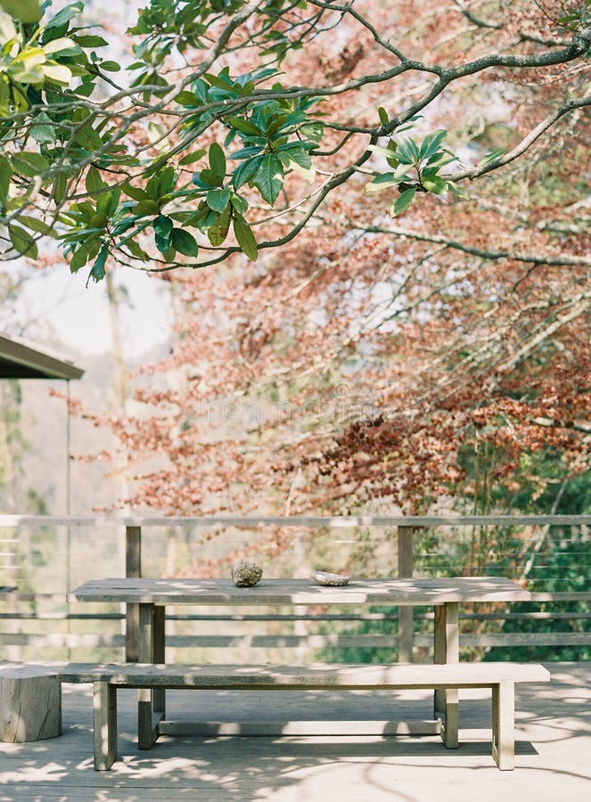 Beautiful Shot of a Wooden Garden Table and Bench Stock Photo - Image ...