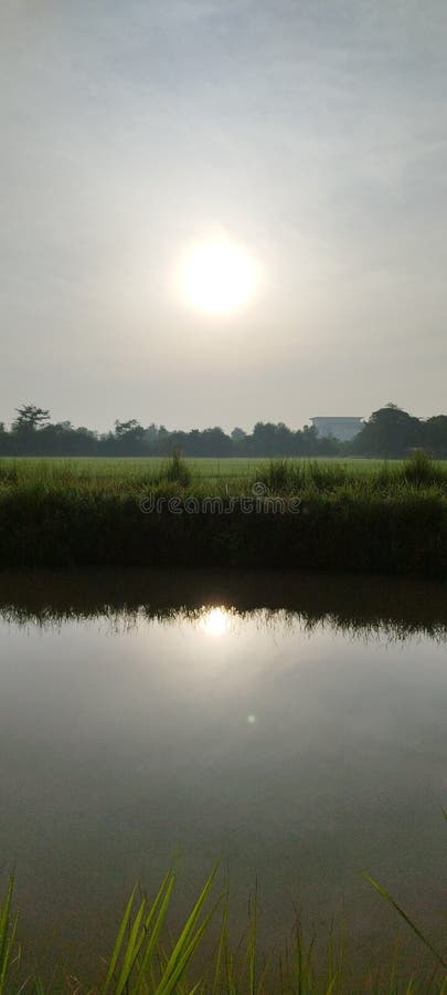 Beautiful Side of Nature with Lovely Day Stock Photo - Image of side ...