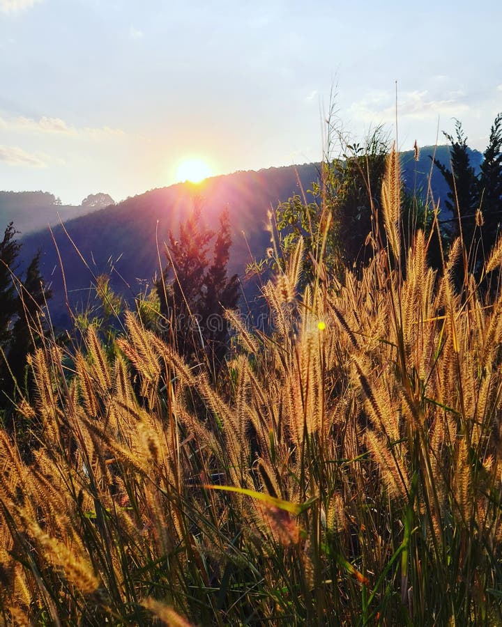A beautiful silence stock photo. Image of forefinger - 25897460