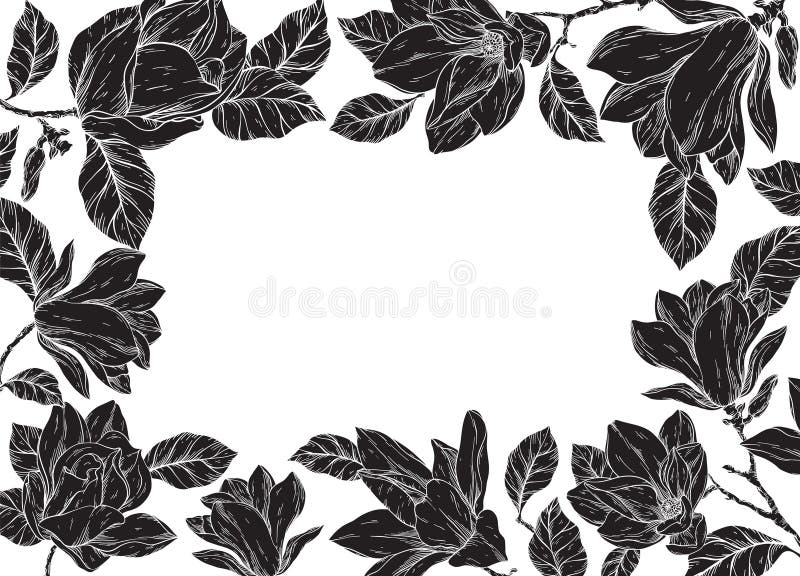 Beautiful Silhouette Square Frame with Magnolia Flowers Plants. Stock ...
