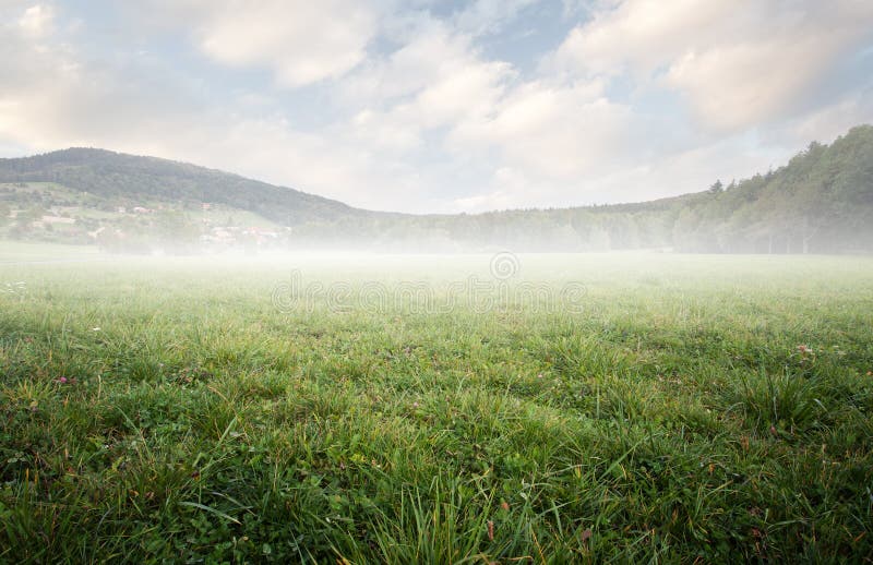 Beautiful Simple Ground Scenery with Grass and Mist Stock Image - Image ...