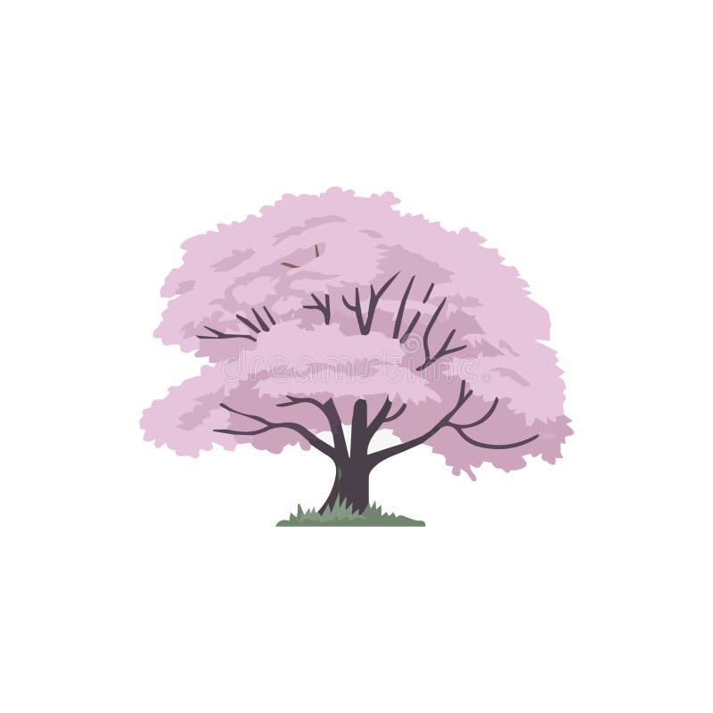 Cherry Blossom Tree Vectors Stock Illustration - Illustration of season ...