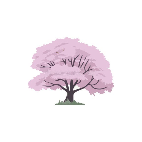 Cherry Blossom Tree Vectors Stock Illustration - Illustration of season ...