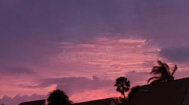 Beautiful skies Florida stock photo. Image of sunrise - 313107302