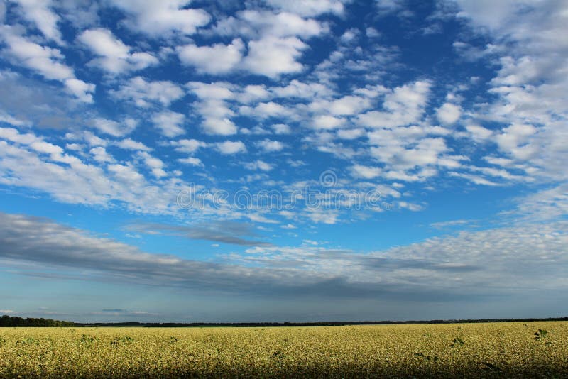 Beautiful sky stock photo. Image of fieldn, wallpapers - 83560584