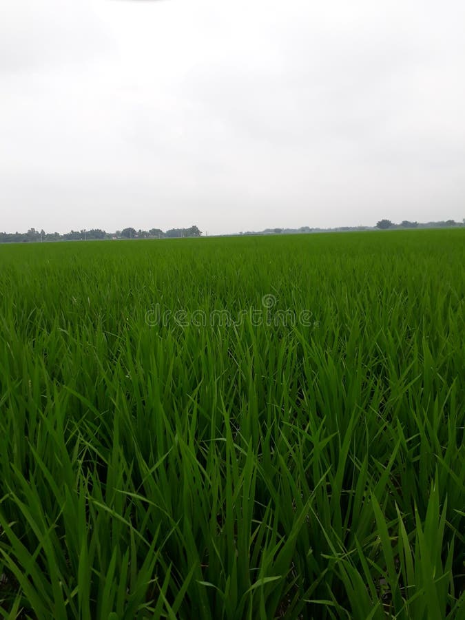 Beautiful Sky and Cloud in the Sky Indian Village Stock Image - Image ...