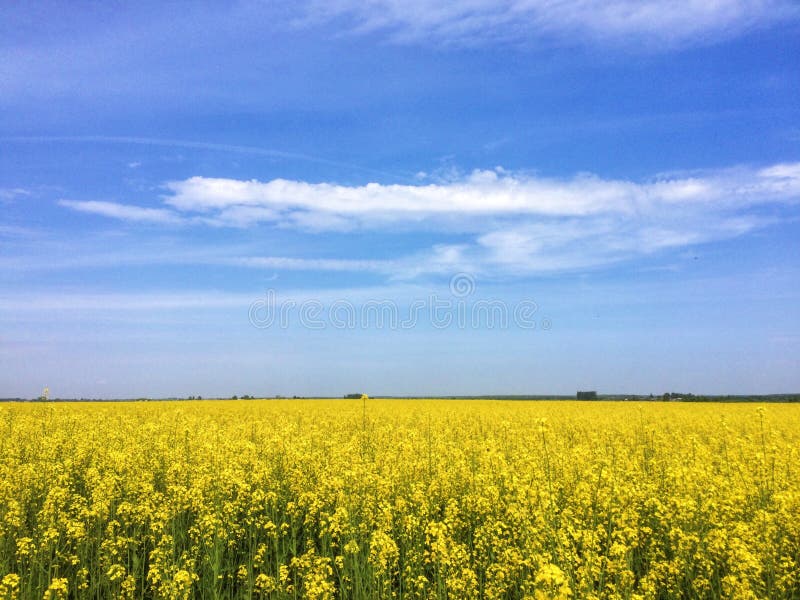 Beautiful sky stock image. Image of nature, beautiful - 71470565