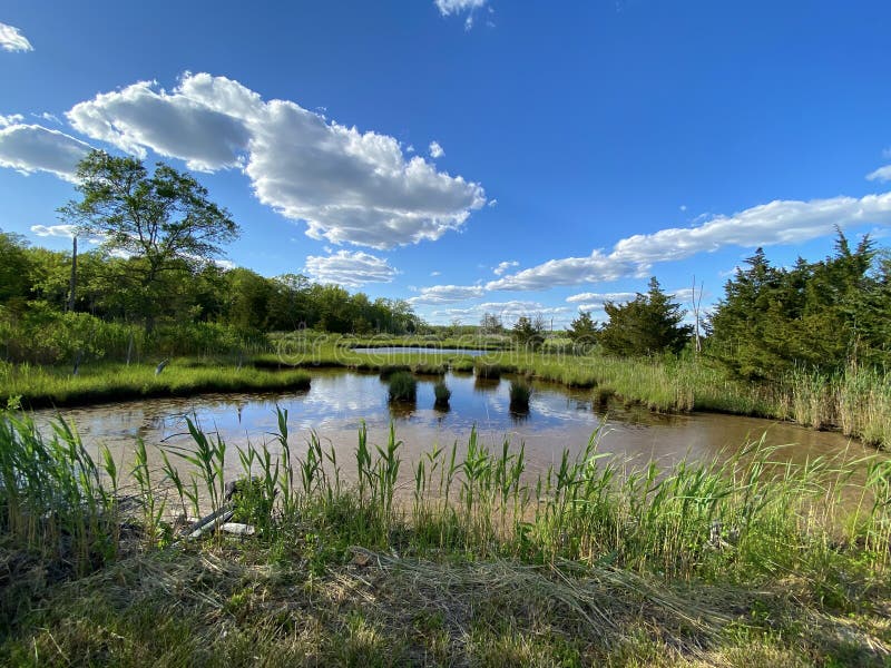 Beautiful Sky and Clouds Overlooking a Pond Stock Image - Image of pond ...
