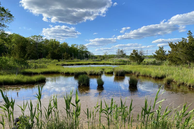 Beautiful Sky and Clouds Overlooking a Pond Stock Photo - Image of blue ...
