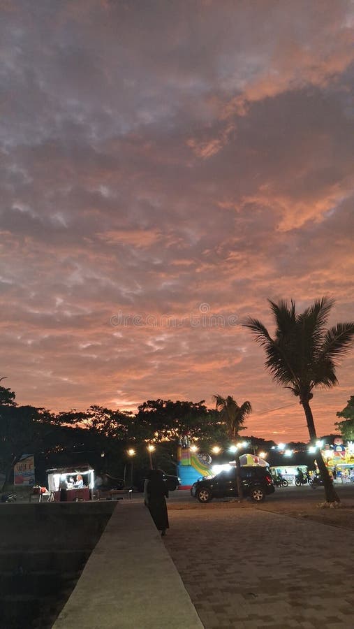 Beautiful Sky Color with Beautiful Trees Just before the Sun Goes Down ...