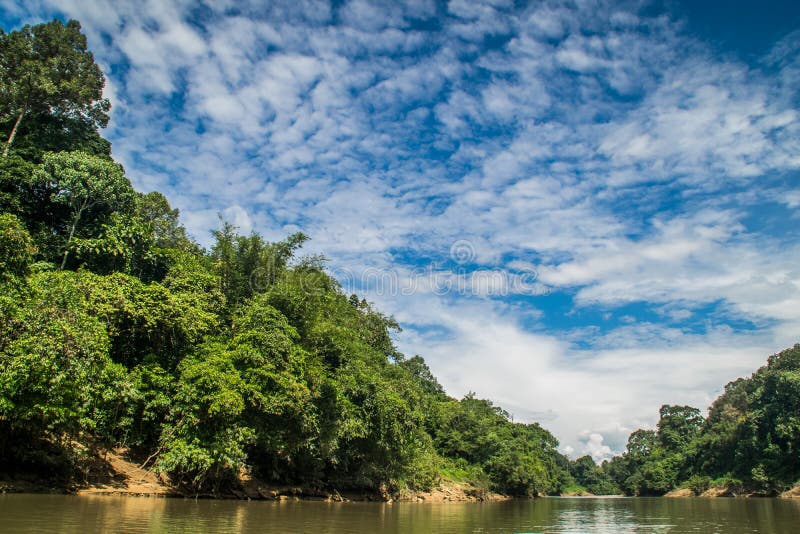 Beautiful sky stock photo. Image of kapit, jungle, cloud - 84709906