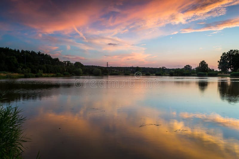 Sunset at the pond stock photo. Image of pink, forest - 120334376