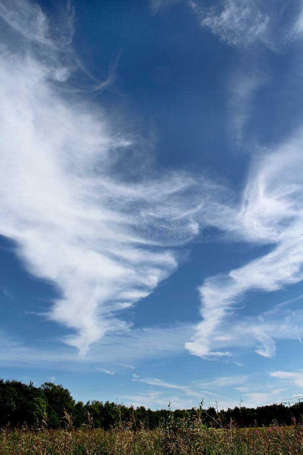 Landscape Summer or with a Beautiful Blue Sky White Clouds, River and ...