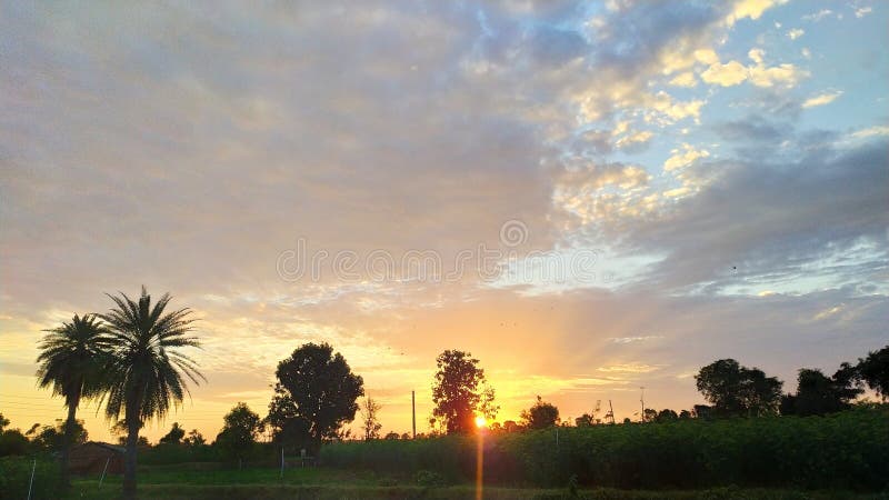 Beautiful Sky Light Picture Stock Image - Image of light, trees: 170455539