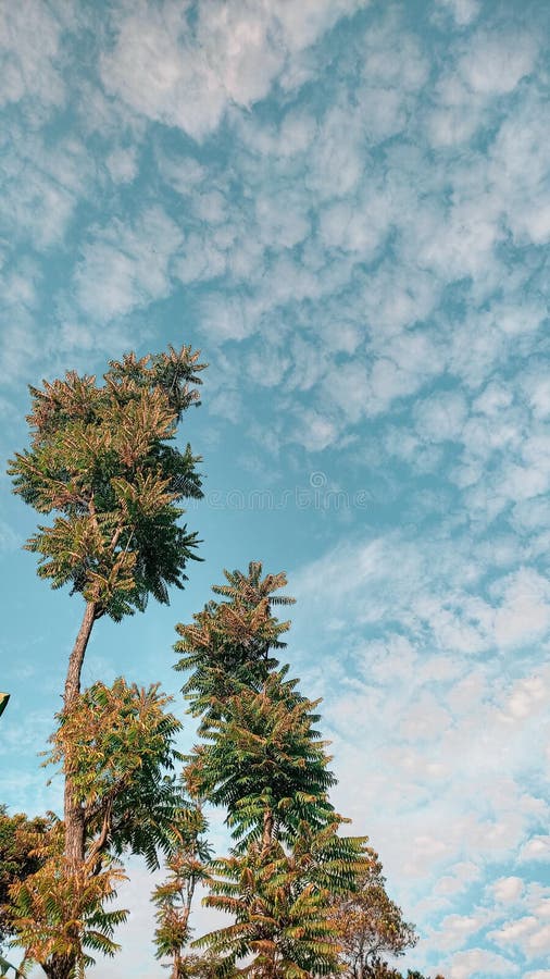 Beautiful sky in Morning stock image. Image of cloud - 224053319