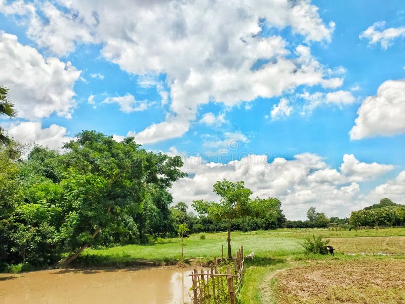 Beautiful Sky Natural Field Wonderful Stock Image - Image of wond ...