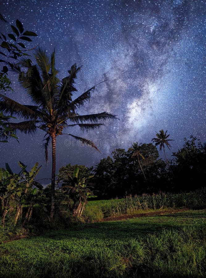 Beautiful sky in the night stock image. Image of moonlight - 226985551