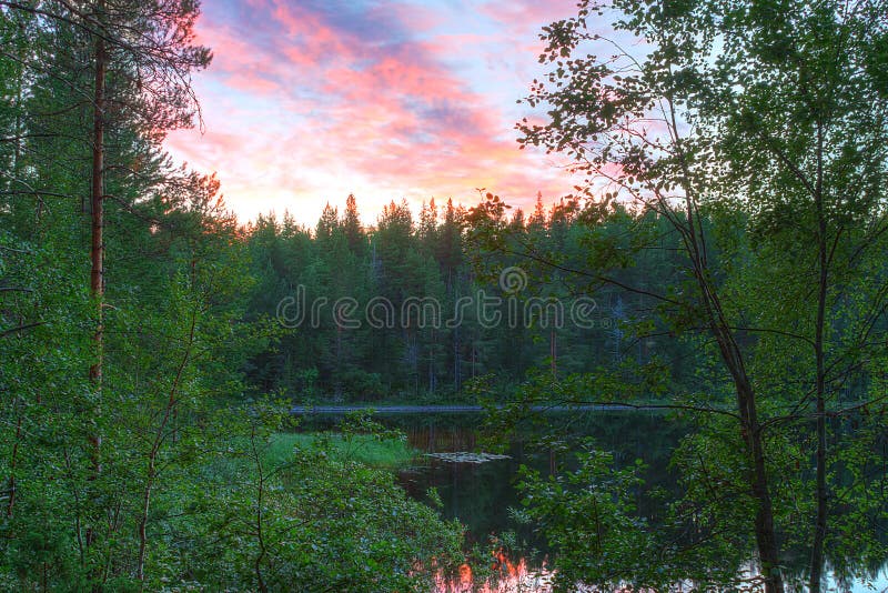 Beautiful Sky Over Forest in Night Stock Photo - Image of evening ...