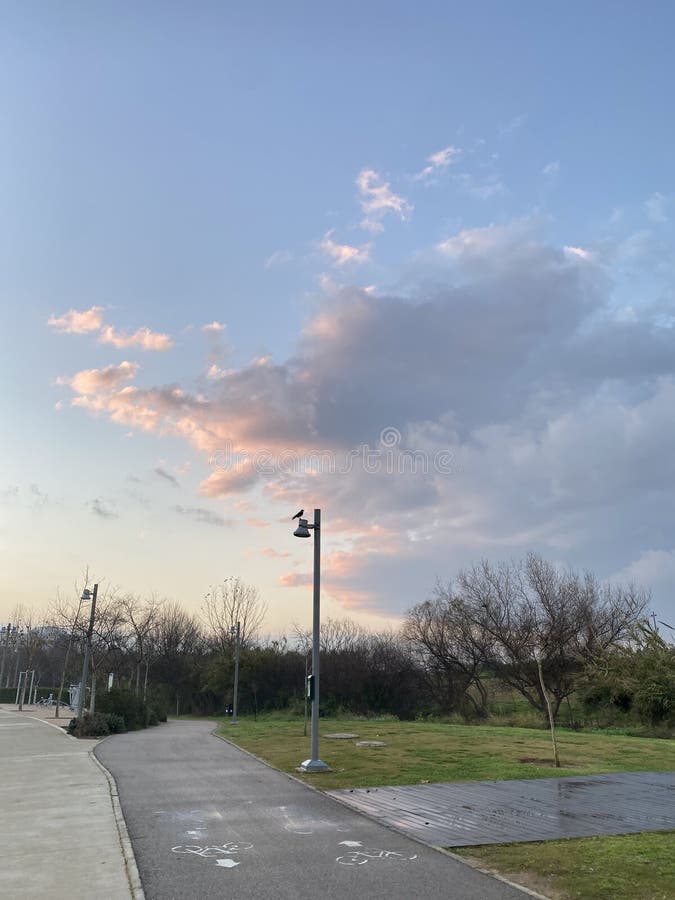 Cool view in the park stock image. Image of evening - 241998829