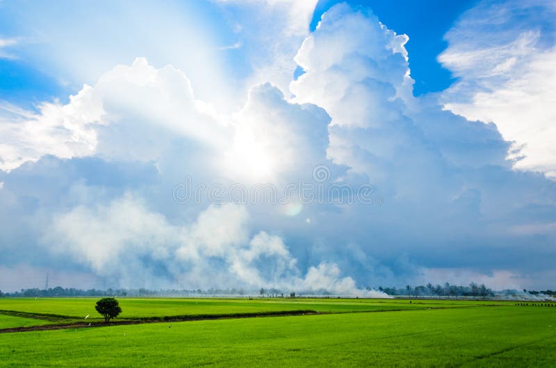 Green Grass Hills Under Midday Sun in Blue Sky. Stock Photo - Image of ...