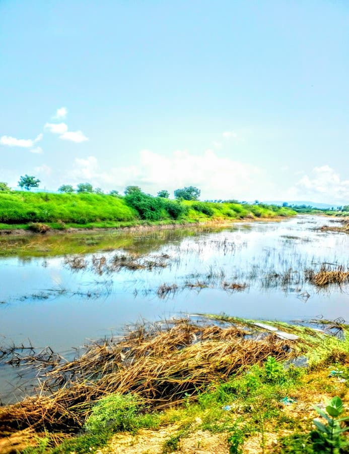 Beautiful Sky Small River - Water Trees Stock Image - Image of trees ...