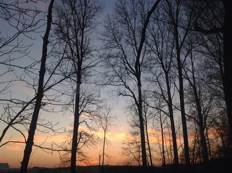 Beautiful sky stock photo. Image of beautiful, trees - 86383012