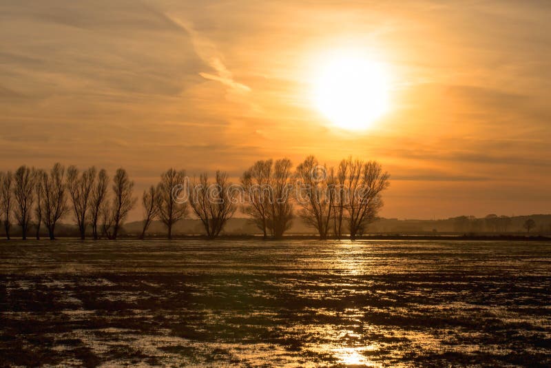 Beautiful Sky at Sunset. Rural Landscape Stock Photo - Image of tree ...