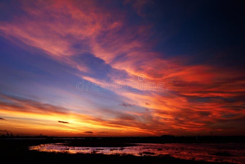 Beautiful Sky on a Windy Day Stock Image - Image of light, flora: 43895249