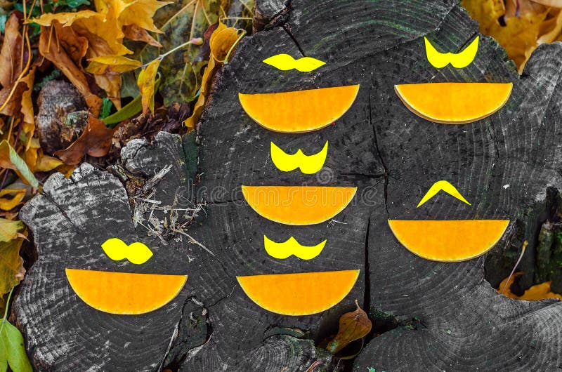 Beautiful Slices of Pumpkin with a Mustache, in the Street Stock Photo ...