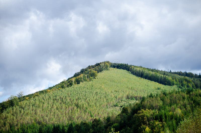 Beautiful Slopes of Carpathian Mountains in Ukraine, Dotted with ...