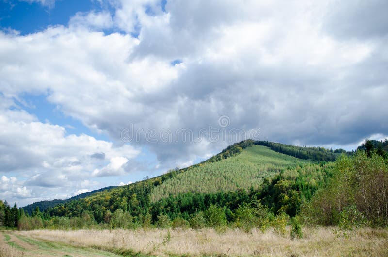 Beautiful Slopes of Carpathian Mountains in Ukraine, Dotted with ...