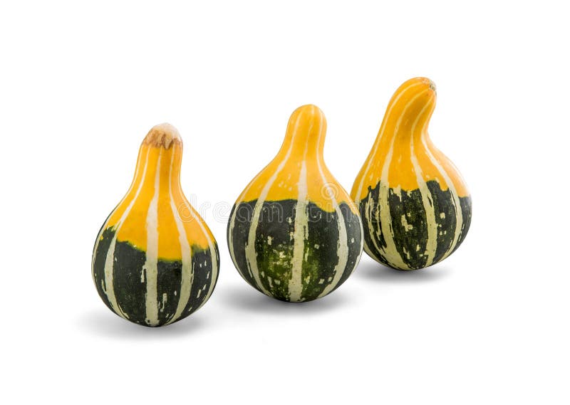 Beautiful Small Decorative Pumpkins Isolated on White with Clipping ...