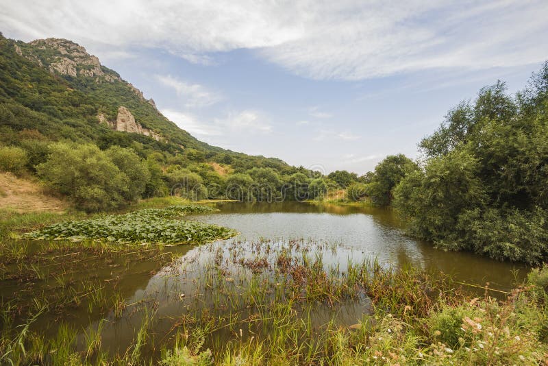 A Beautiful Small Forest Lake with Clear Blue Water in the Forest, a ...
