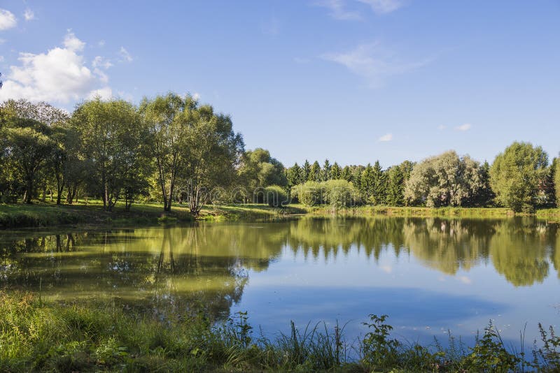 A Beautiful Small Forest Lake with Clear Blue Water in the Forest, a ...