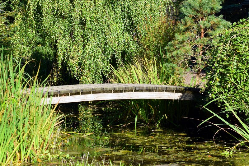 Small wooden bridge stock image. Image of countryside - 100716993