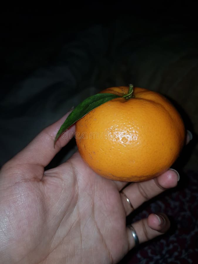 Beautiful Small Orange with Leave Stock Image - Image of indoor, orange ...