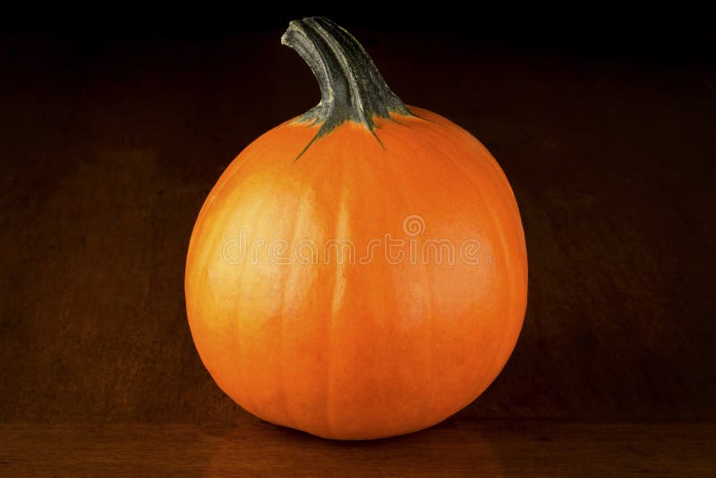 Beautiful Small Pumpkin stock photo. Image of nature - 33490912