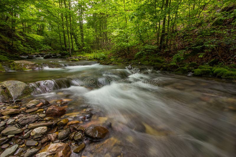 Beautiful small river stock photo. Image of canvas, peace - 72158608