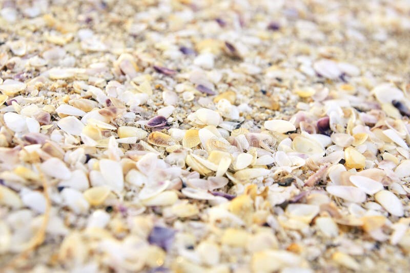 Bright Sand Formations on the Beach, Cape Verde Stock Photo - Image of ...