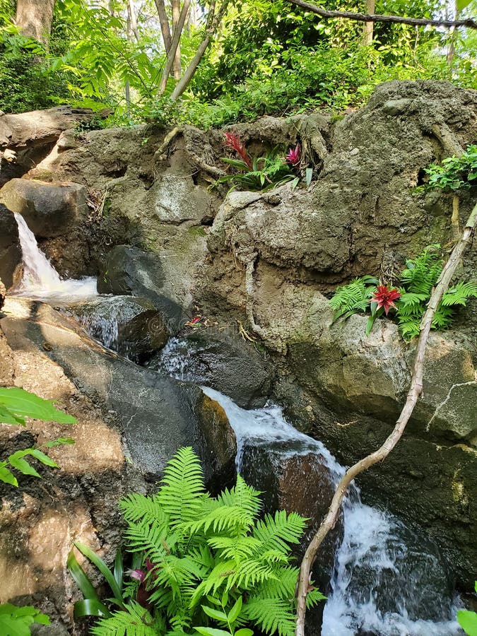 Beautiful Small Waterfall stock photo. Image of wilderness - 219115140