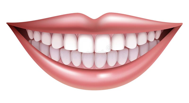Beautiful Smile with White Teeth. Vector Illustration Stock ...