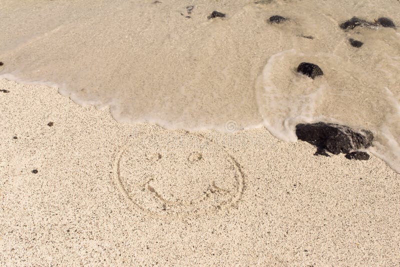 Fun Smiley at the Edge of a Tropical Lagoon Stock Photo - Image of ...