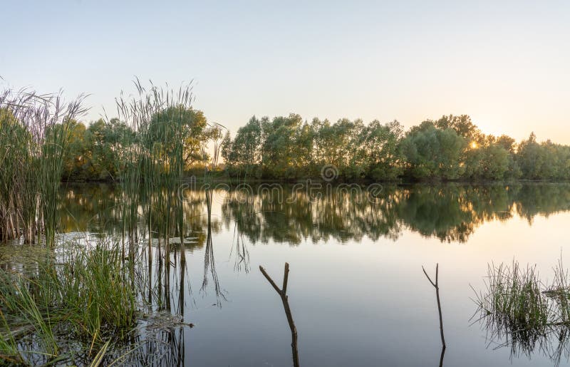 Smooth Lake Water Surface Under Bright Blue Sky and Closeup Maple Tree ...