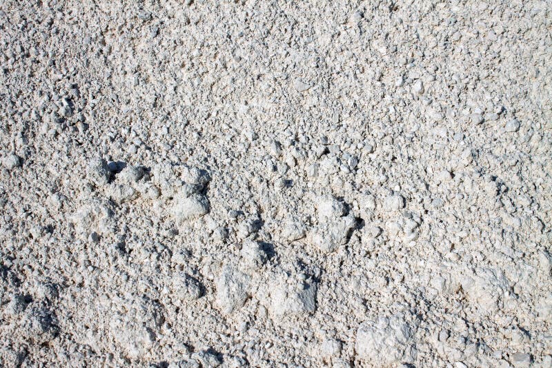 Texture of White Granular Mixture Close-up Stock Image - Image of plan ...