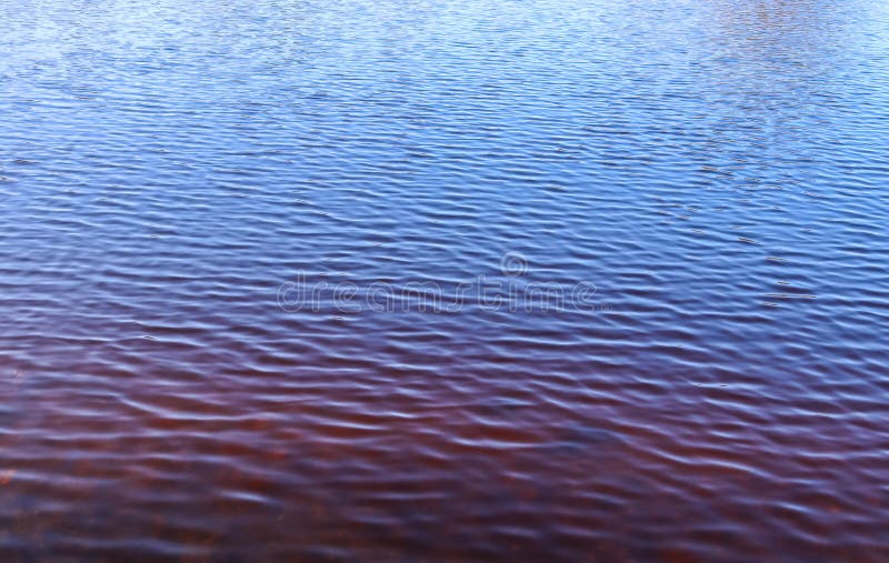Beautiful Smooth Water Surface Texture with Small Waves and Sunlight ...
