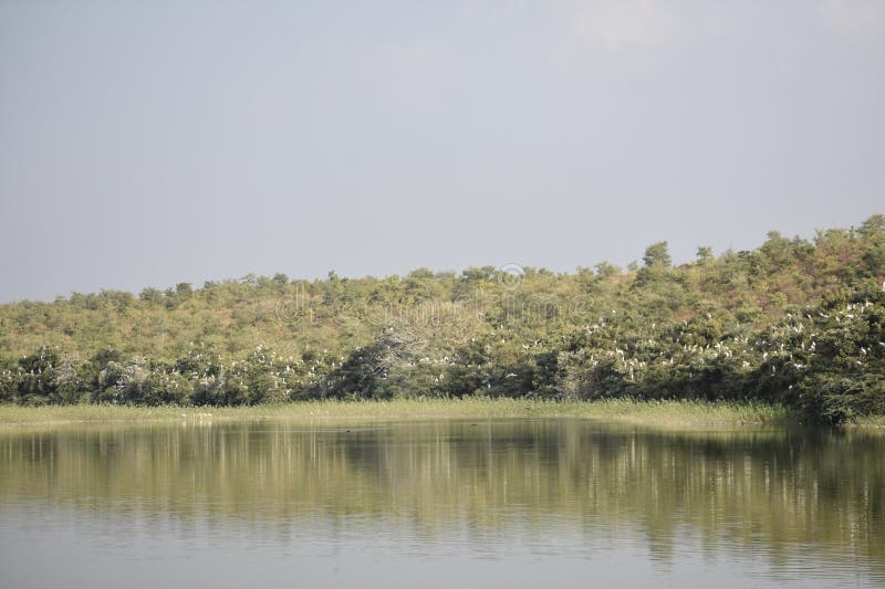 A beautiful snap of a lake stock photo. Image of landscape - 279488344